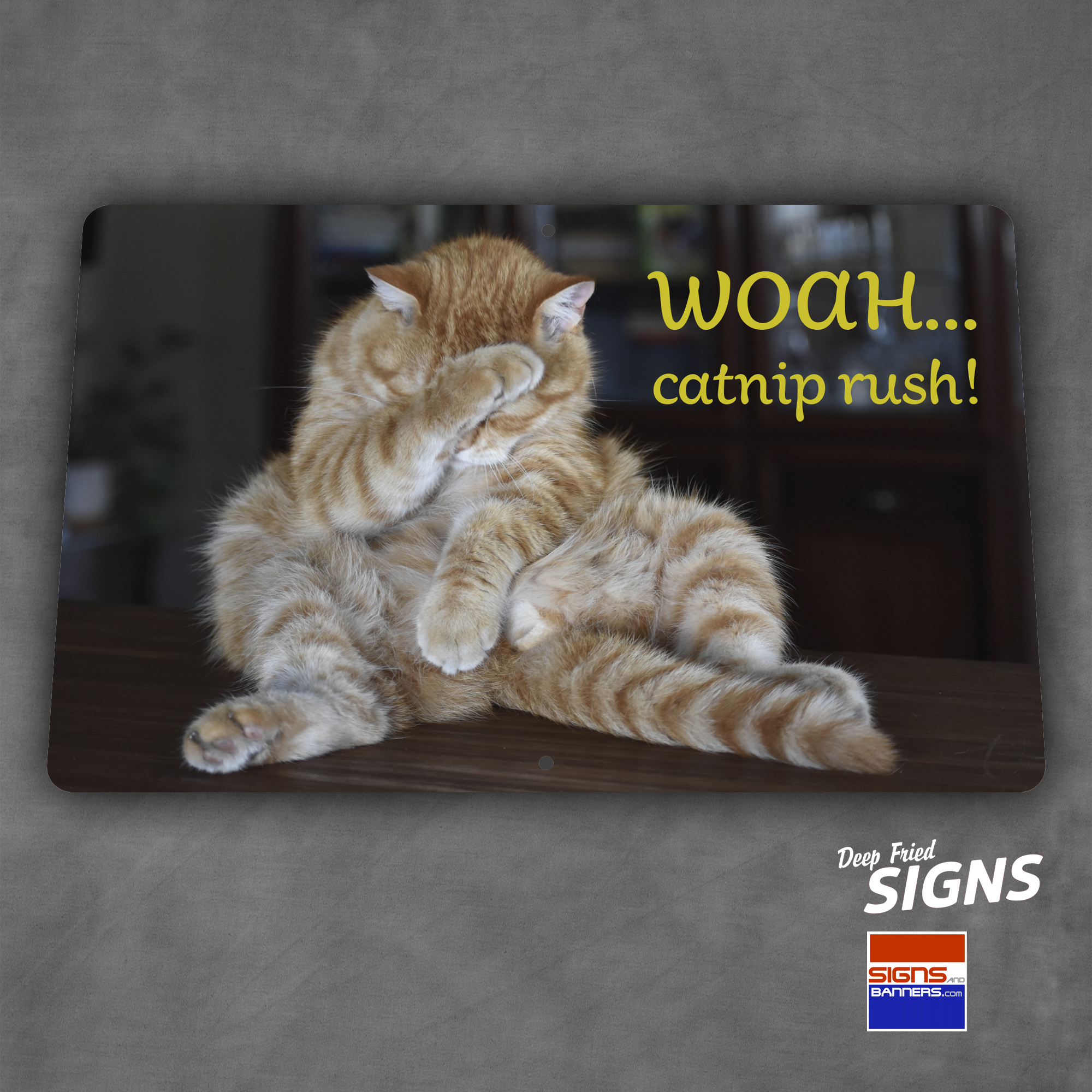 Just for Fun - Plastic Signs